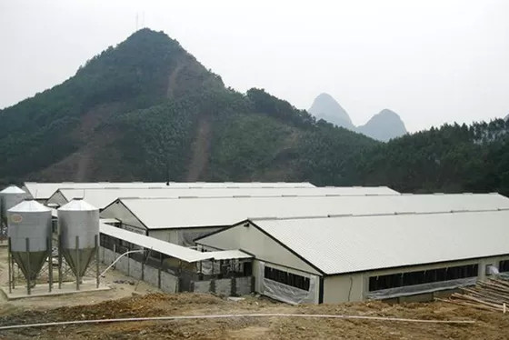 XGZ Steel Structure Poultry House Customized Size And Layout
