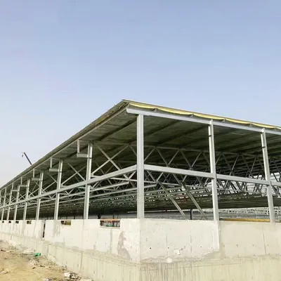 Train Platforms Q235 Steel Shed Aircraft Hangar Industrial Modular ...
